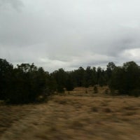 Kaibab National Forest - Grand Canyon, AZ