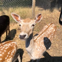 Olympic Game Farm - 16 tips