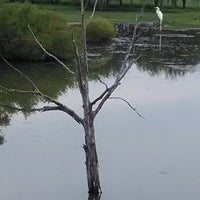 Brainerd Levee - Hiking Trail