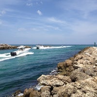 Red Reef Park Beach - Beach in Southeast Boca Raton
