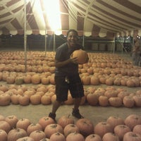 Pierce College: Farm Center - 6 tips from 635 visitors