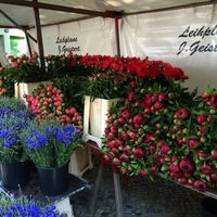 Wochenmarkt Karl-August-Platz - Charlottenburg - Karl-August-Platz