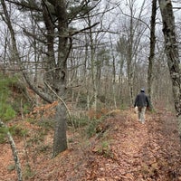 Douglas State Forest - Forest