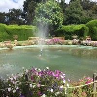 Ashcombe Maze & Lavender Gardens - Garden