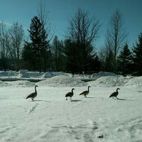 Photos at Merck & Co., Inc. - Upper Gwynedd Site - Office in North Wales