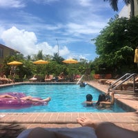 The Pool at Freehand Miami - Ocean Front - Miami, FL