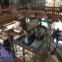 Banff Park Museum