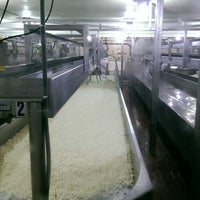 Kalona Cheese House - Cheese Shop in Kalona