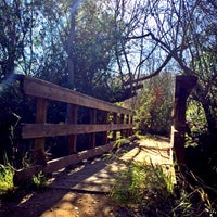 Rose Canyon Bike Path - Other Great Outdoors in University City