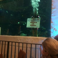 Oceanarium Restaurant (Now Closed) - Waikiki - 26 tips from 945 visitors