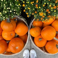 Kitchen Table - Grocery Store in Toronto