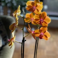 Kitchen Table - Grocery Store in Toronto