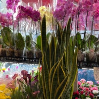 Kitchen Table - Grocery Store in Toronto