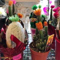 Kitchen Table - Grocery Store in Toronto