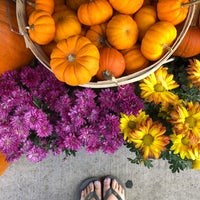 Kitchen Table - Grocery Store in Toronto