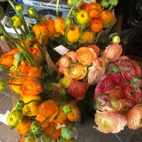 Kitchen Table - Grocery Store in Toronto