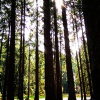 Pier Park Disc Golf Course - 8660 N Columbia Blvd