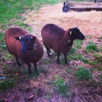 Lockey Farm Shop & Butchers - Farmers Market in Reading