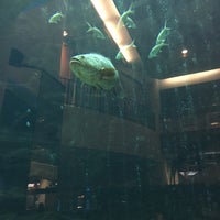 Oceanarium Restaurant (Now Closed) - Waikiki - 26 tips from 945 visitors