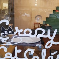 Crazy Cat Cafe - Centrale - 42 tips from 814 visitors