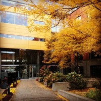 SAP Canada - Ville-Marie - 8 tips from 196 visitors