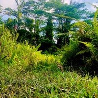 Alexandra Park Connector - Central Region - Along Alexandra Canal