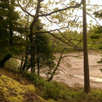 Derreen Gardens - Lauragh