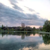 Parcul Titan - Balta Albă - 21 tips