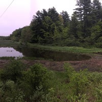 Fore River Sanctuary Trail - 1 tip from 122 visitors