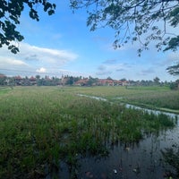 Sacred Monkey Forest Sanctuary - Ubud - 357 tips