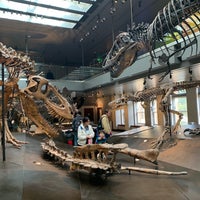 Natural History Museum of Los Angeles County - Museum in Los Angeles