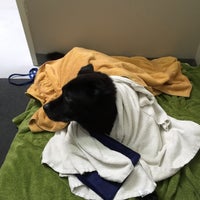 Two Hands Four Paws - West Los Angeles - 2240 Federal Ave