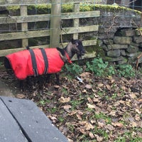 Bleakholt Animal Sanctuary - Borough of Bury, Borough of Bury