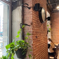 Gotan - Tribeca - New York, NY