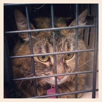 Alta Loma Animal Hospital - Rancho Cucamonga, CA