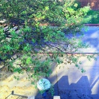 Moody Memorial Library - College Library in Baylor University