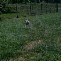 DuSable Dog Park - Saint Charles - 5 tips