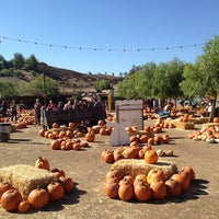 Peltzer Farms - 39925 Calle Contento