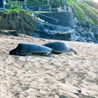 Mama Fish House Beach - paia