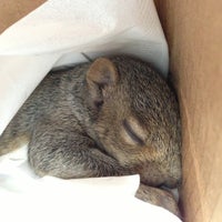 Willowbrook Wildlife Center - 4 tips from 288 visitors