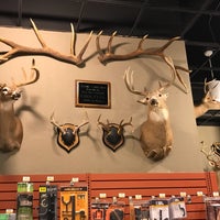 Bass Pro Shops - Concord Mills - 26 tips