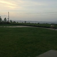 York Winery Pvt. Ltd. - Vineyard in Nashik