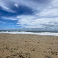 Poodle Beach - Rehoboth Beach, DE
