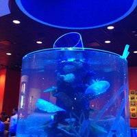 The Cowfish Sushi Burger Bar - Sushi Restaurant