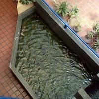 C.C. Prebo - 10 tips from 362 visitors