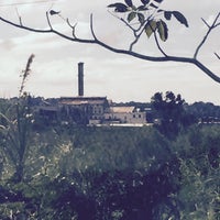 Central Coloso - Factory in Aguada