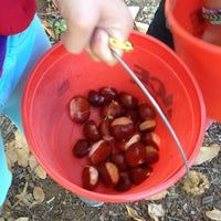 Smokey Ridge Ranch - BBQ Joint in Placerville
