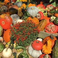 Round Swamp Farm - Market