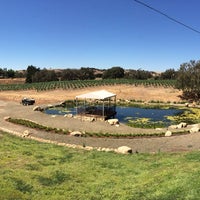 Beckman Vineyards - Vineyard