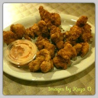 Hungry Pelican - Seafood Restaurant in Louisville